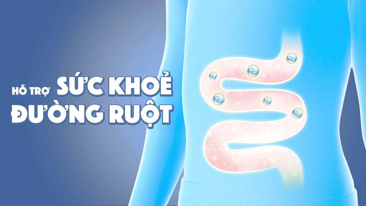 TH true YOGURT Probiotics | Creative Concept by NEXT Creative