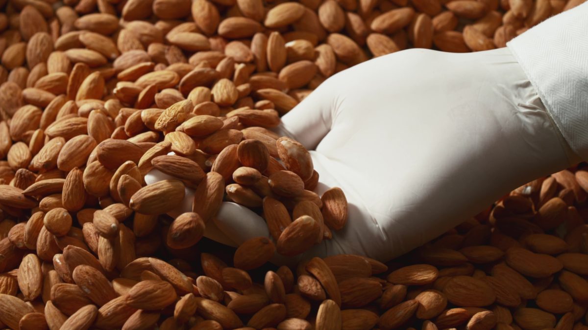 TH true NUT Selections from Nature | Creative Concept by NEXT Creative